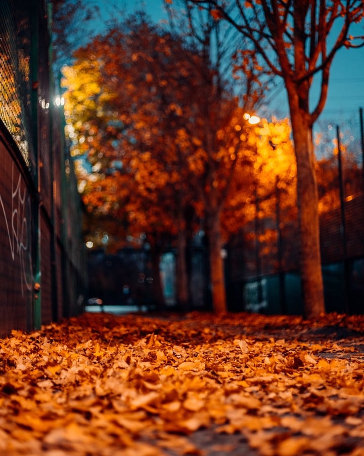 Living in Mile End London - Area Guide | PropertyLoop